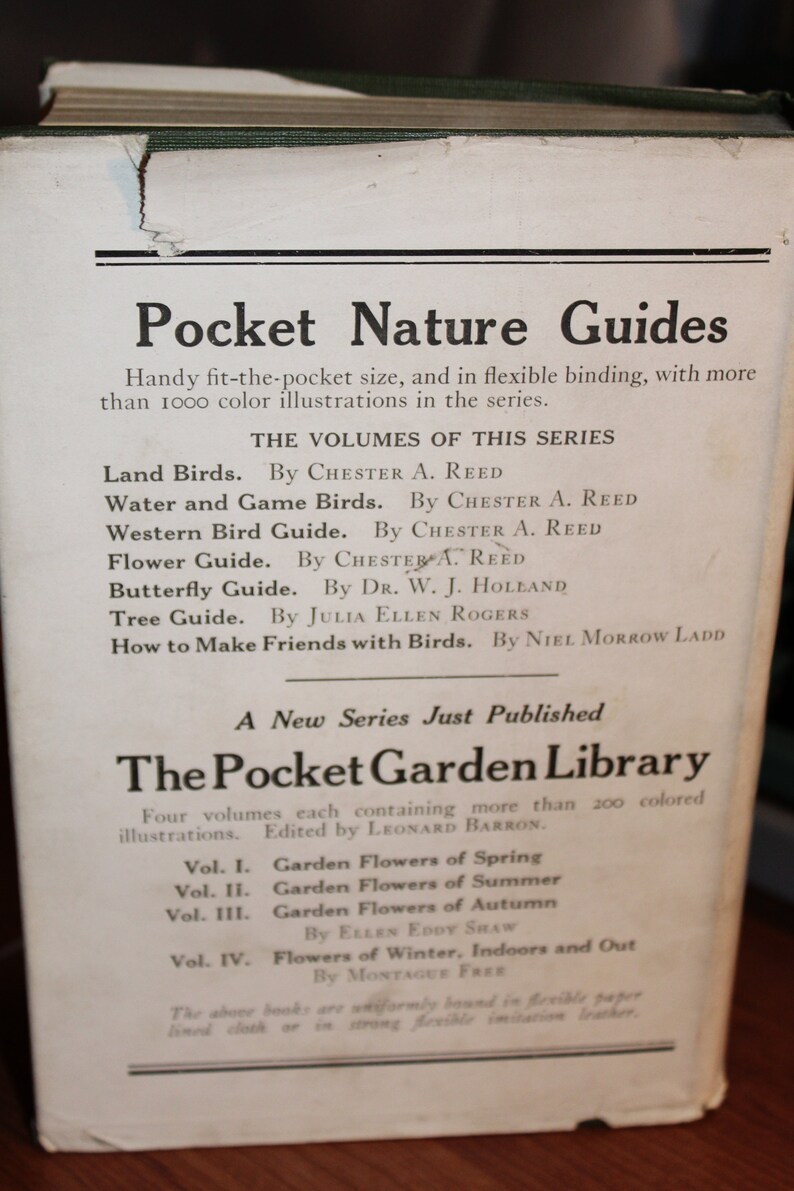Antique, 1924, Little Nature Library, Trees Worth Knowing, by Julia ...