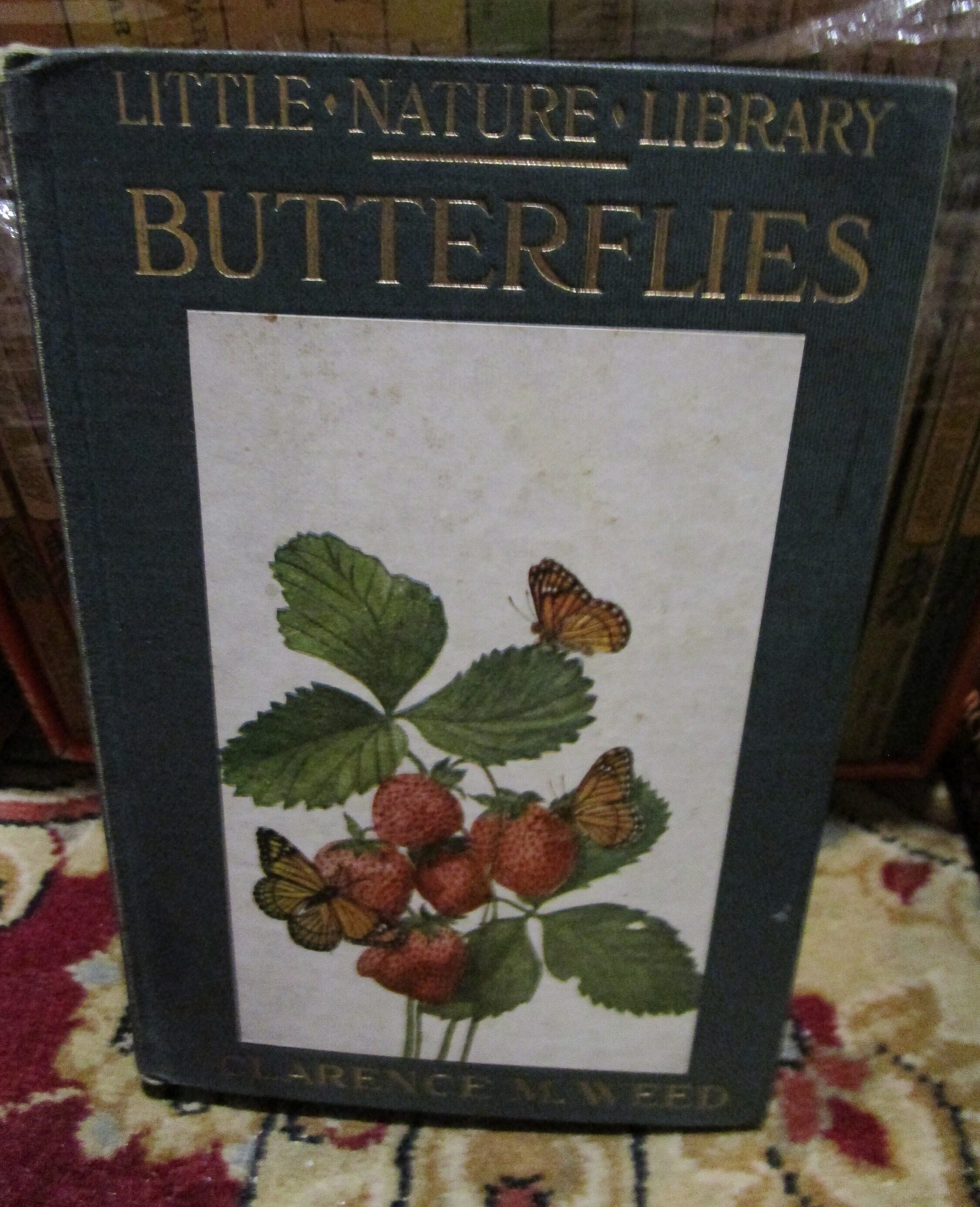 Antique 1922, Little Nature Library, Butterflies, by Clarence Weed ...