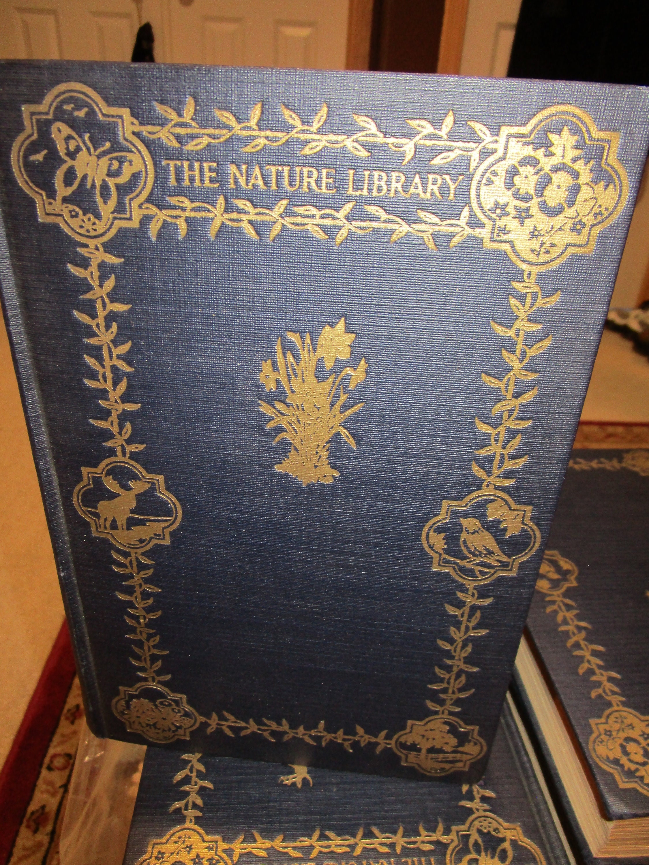Antique 1926 the Nature Library Wild Flowers by Neltje - Etsy