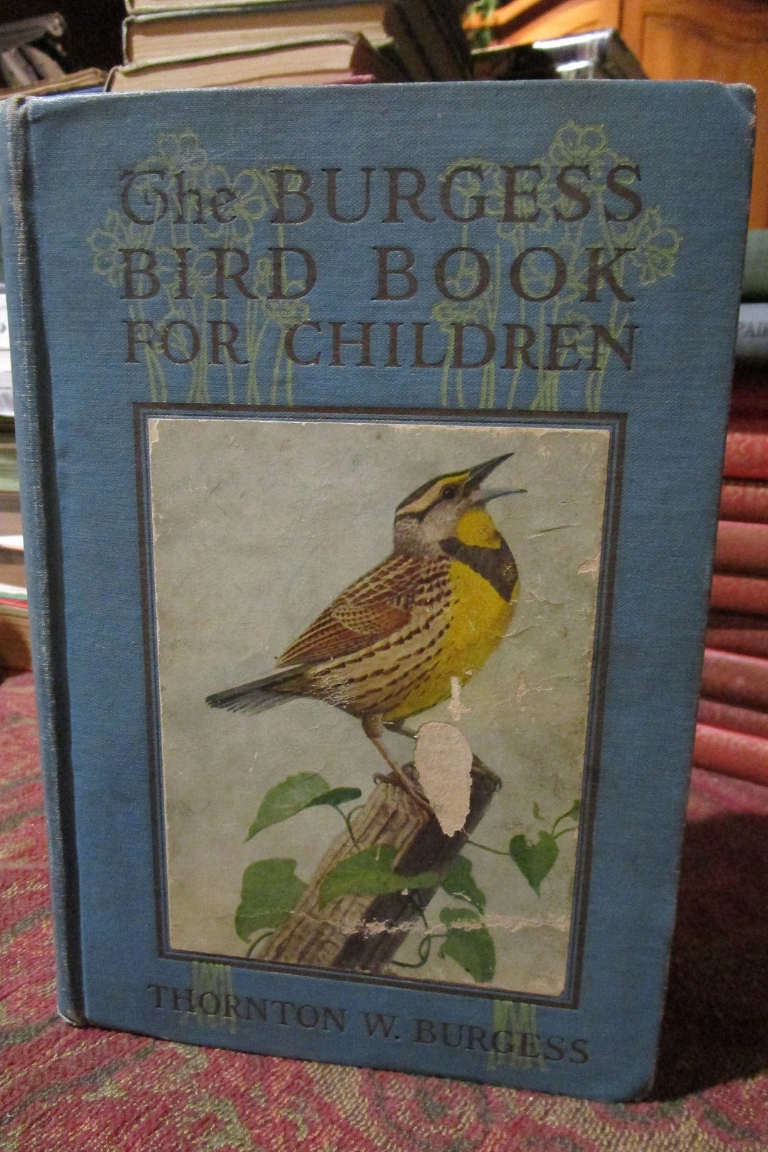 Antique 1920, the Burgess Bird Book for Children, by Thornton Burgess ...