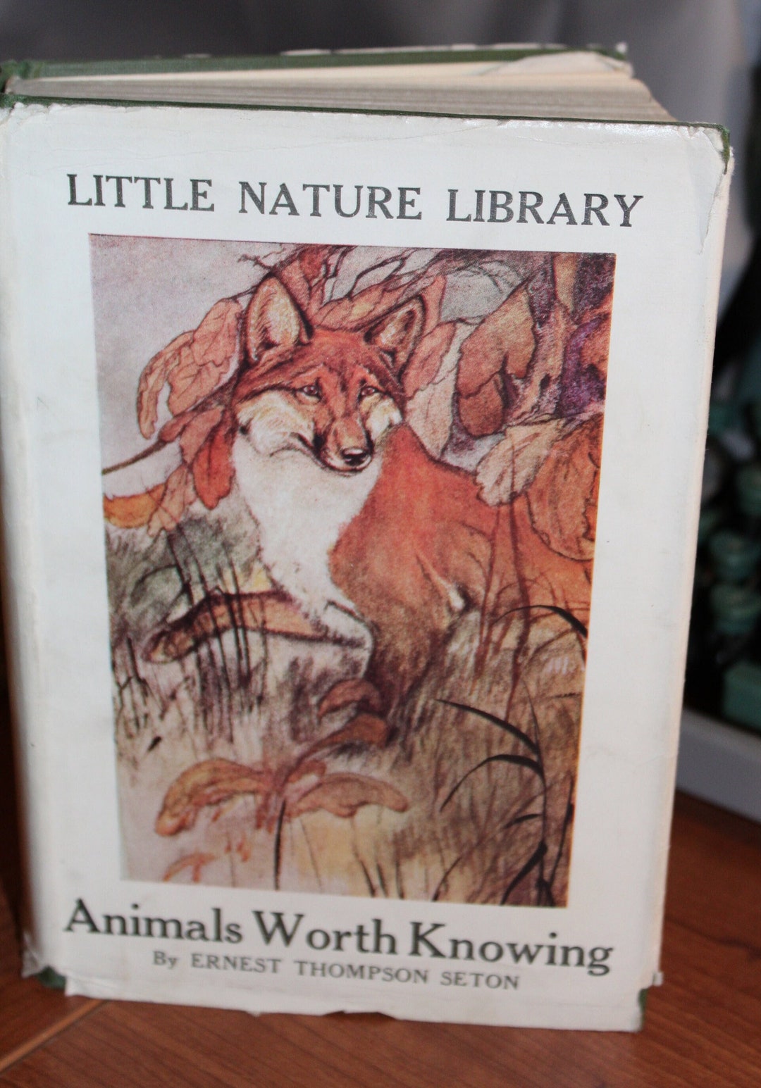 Antique, 1925, Little Nature Library, Animals Worth Knowing, by Ernest ...