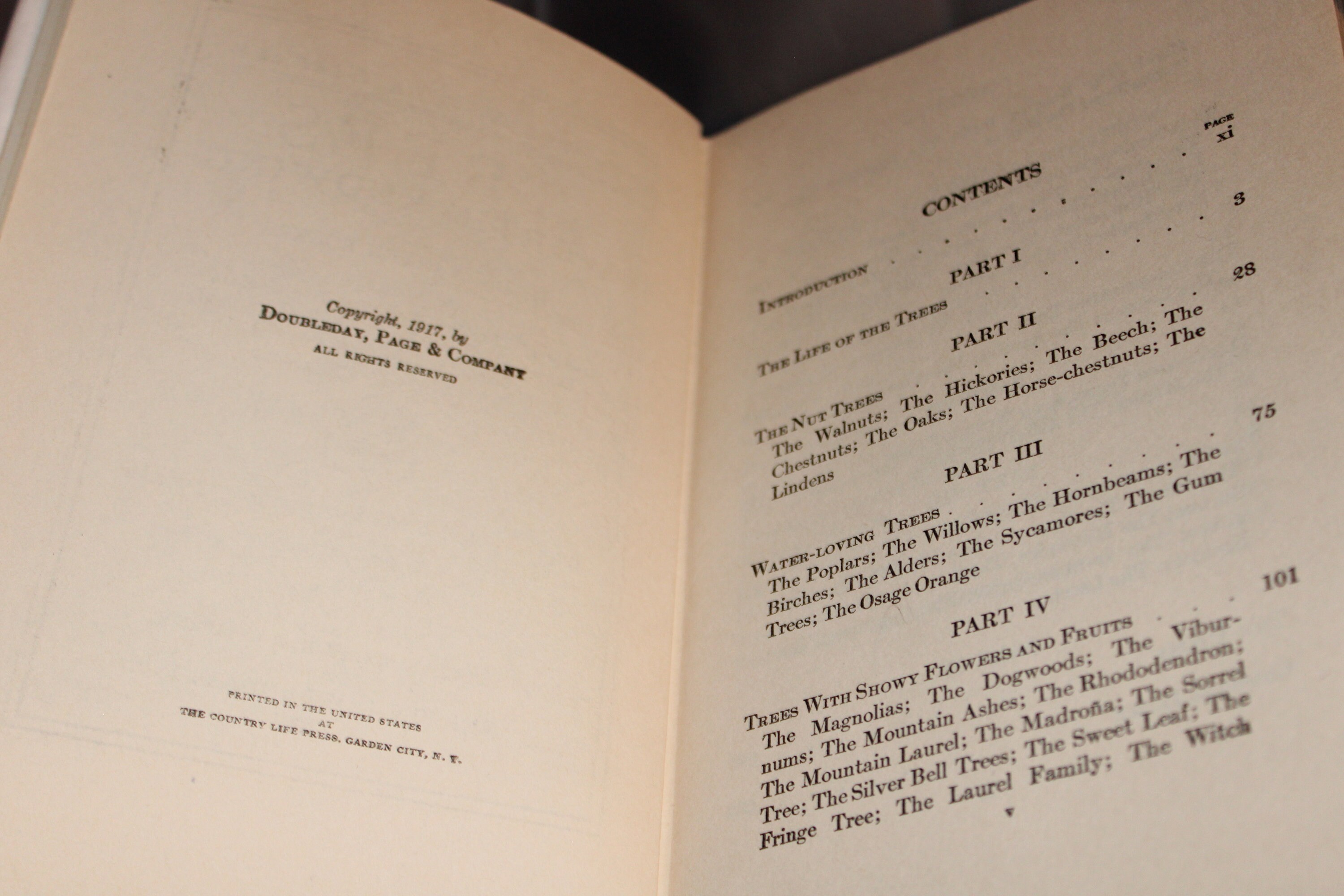 Antique, 1924, Little Nature Library, Trees Worth Knowing, by Julia ...