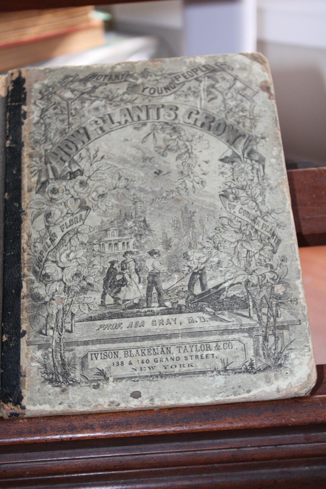 Antique, 1878, How Plants Grow, A Simple Introduction to Structural ...