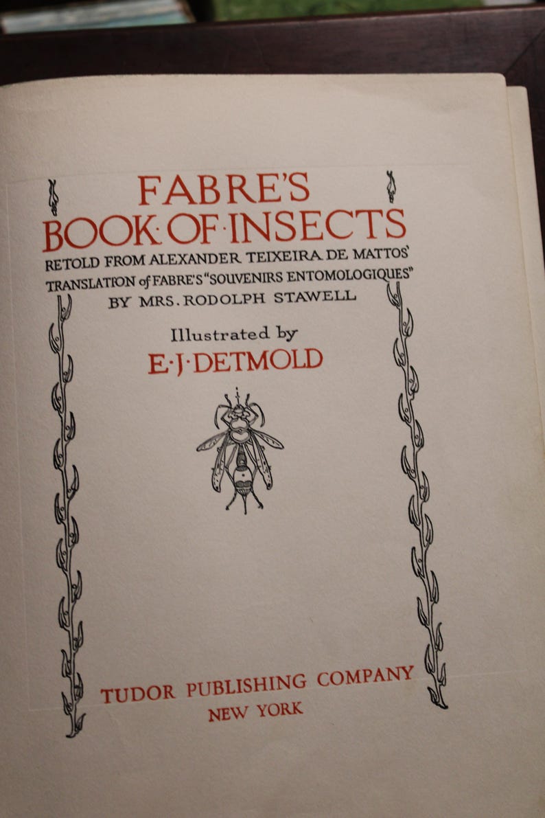 Antique, 1935, Fabre's Book of Insects, Illustrated by Detmold, Retold ...