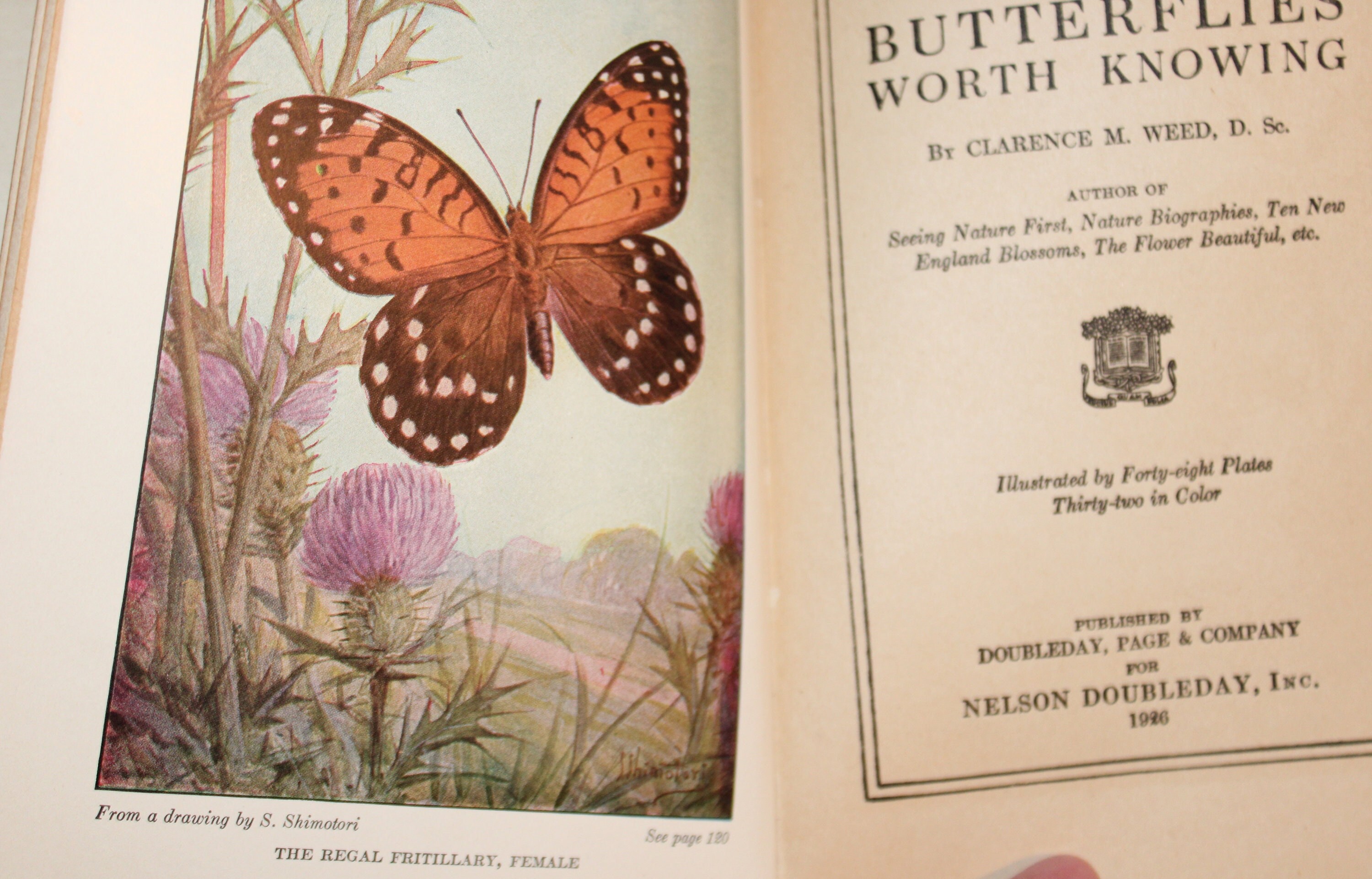 Antique, 1926, Little Nature Library, Butterflies Worth Knowing by ...
