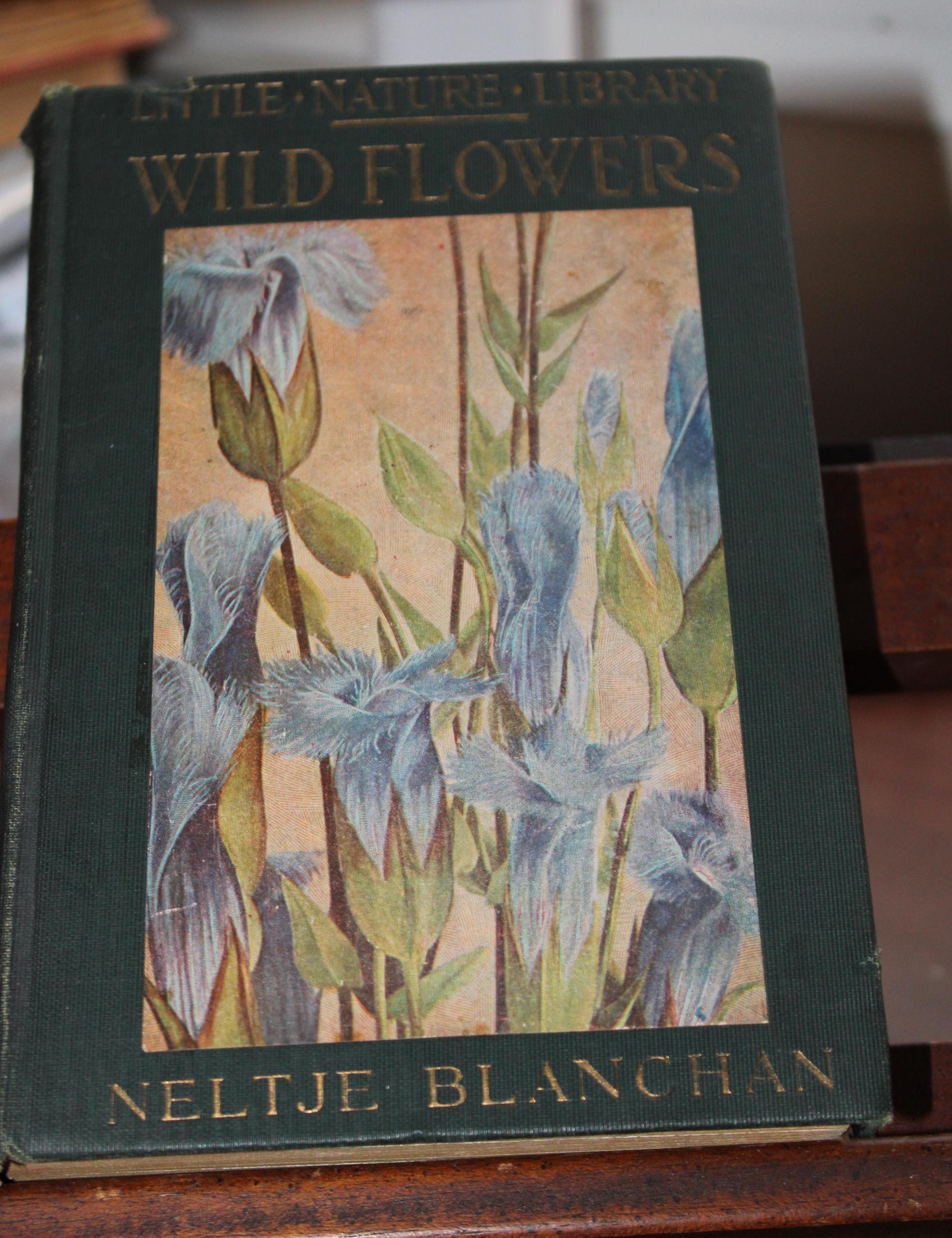 Antique, 1922, Little Nature Library, Wild Flowers Worth Knowing by ...