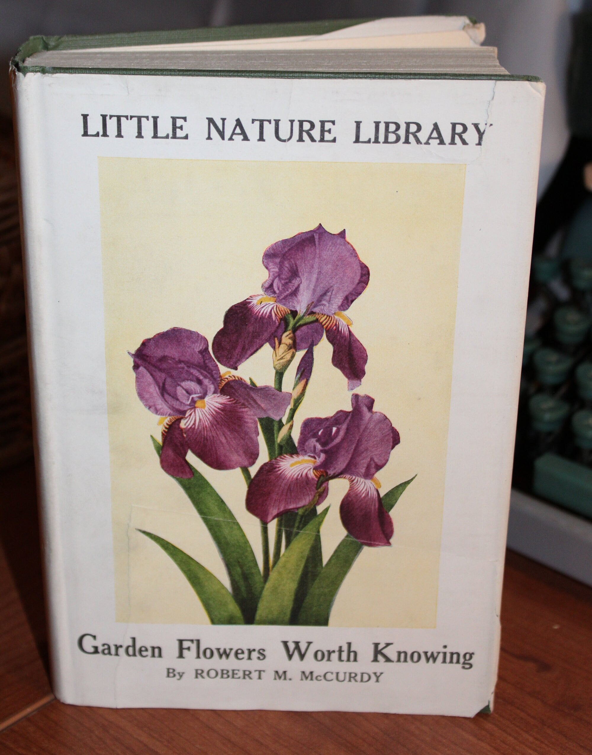Antique, 1925, Little Nature Library, Garden Flowers Worth Knowing, by ...