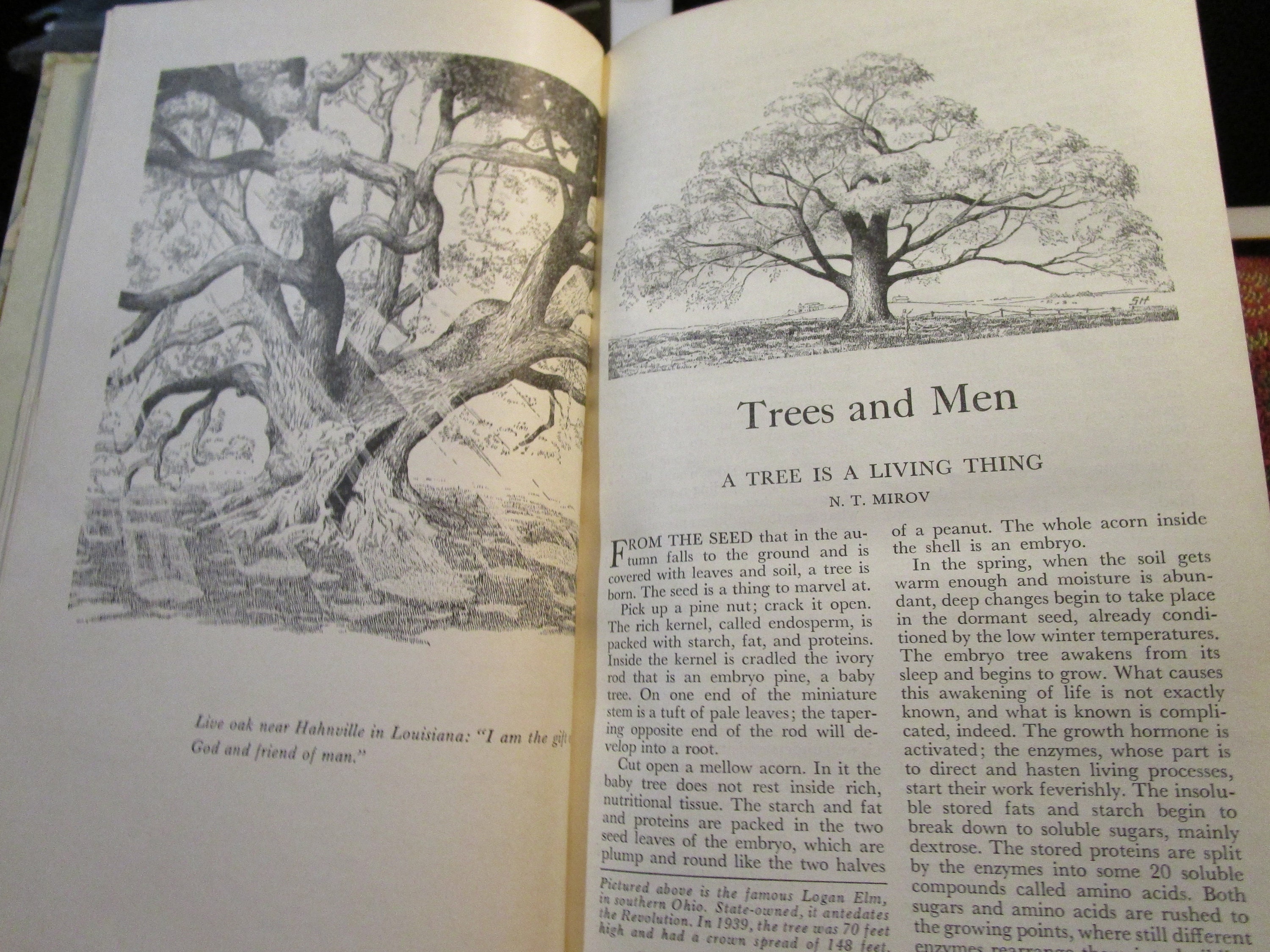 Vintage, 1949, Trees, the Yearbook of Agriculture, US Dept of ...