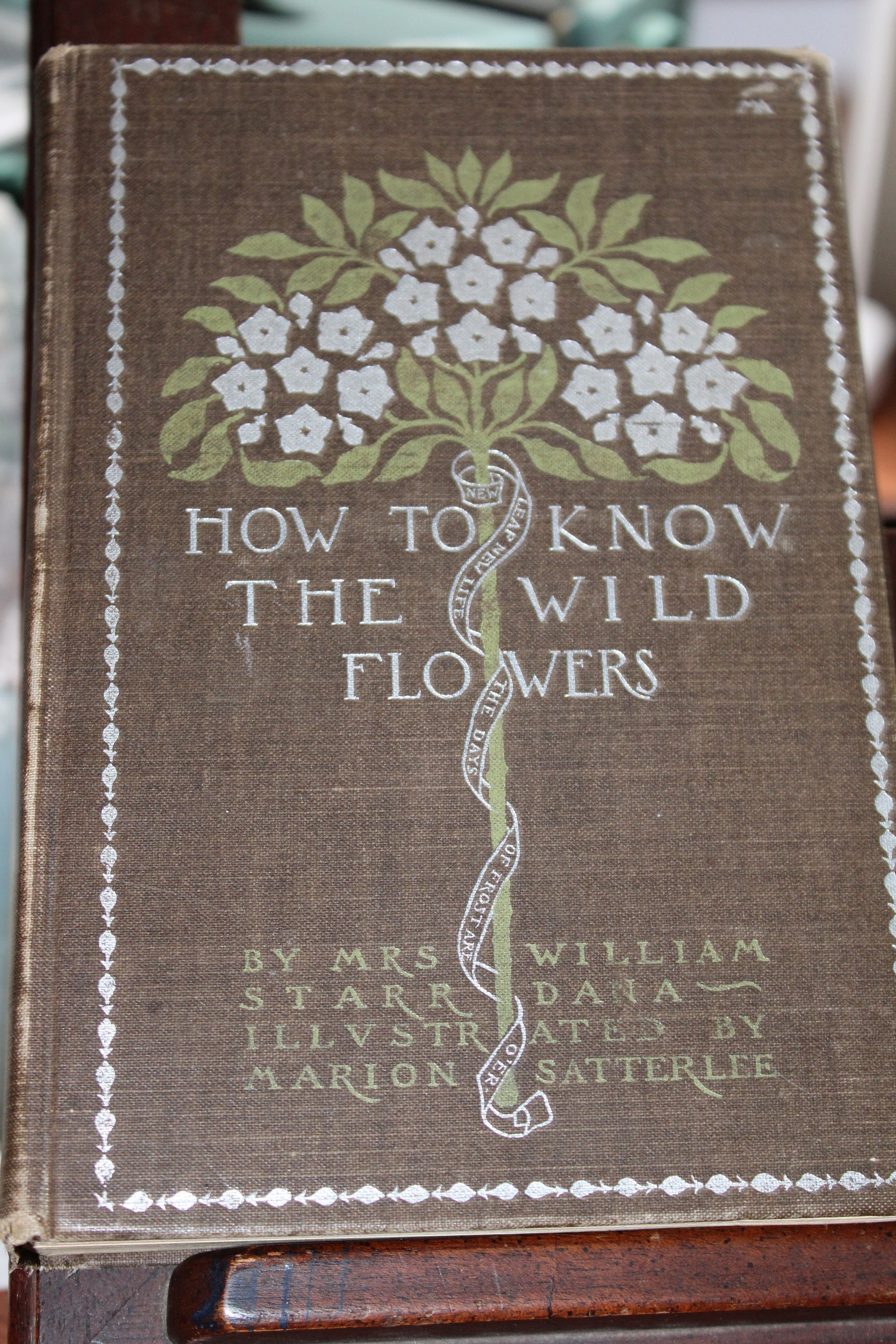 Antique 1895, How to Know the Wild Flowers by Mrs. William Starr Dana ...