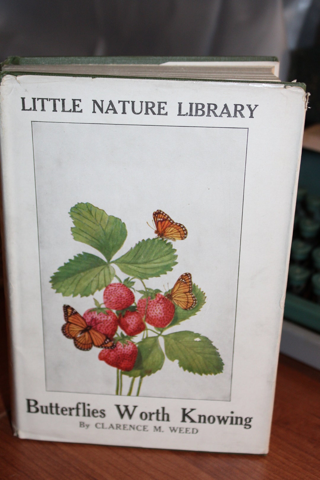 Antique, 1924, Little Nature Library, Butterflies Worth Knowing, by ...