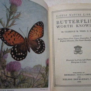 Antique 1922, Little Nature Library, Butterflies, by Clarence Weed ...