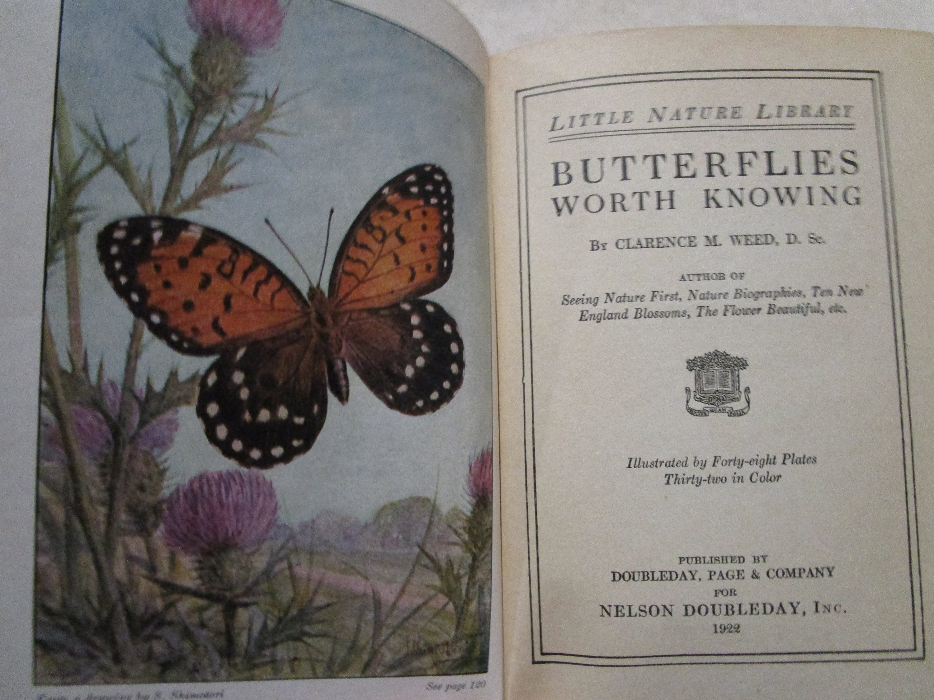 Antique 1922, Little Nature Library, Butterflies, by Clarence Weed ...