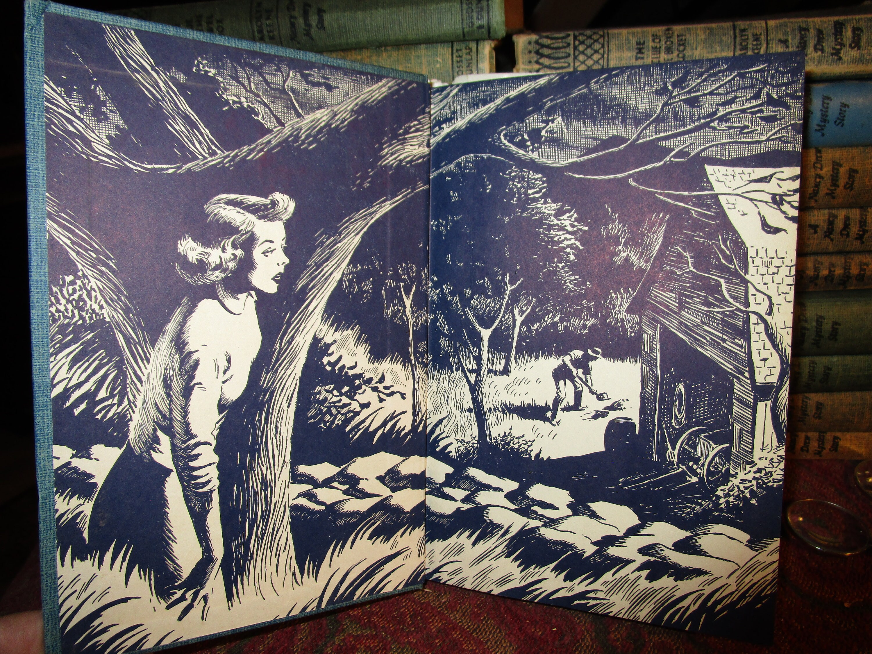 Vintage, 50s, Nancy Drew, Clue in the Diary, Blue Tweed, Digger ...