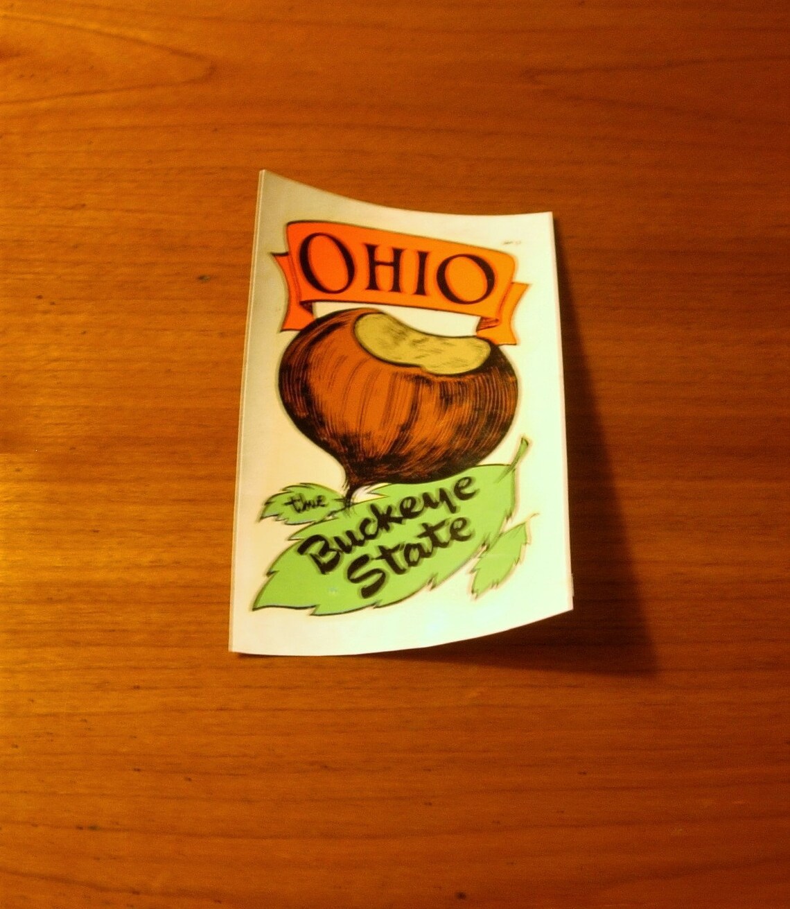 Ohio State Decal Buckeye State Decal 1940's - Etsy