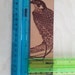 Leather Bird Bookmarks: Falcon Bookmark Hawk Bookmark or - Etsy