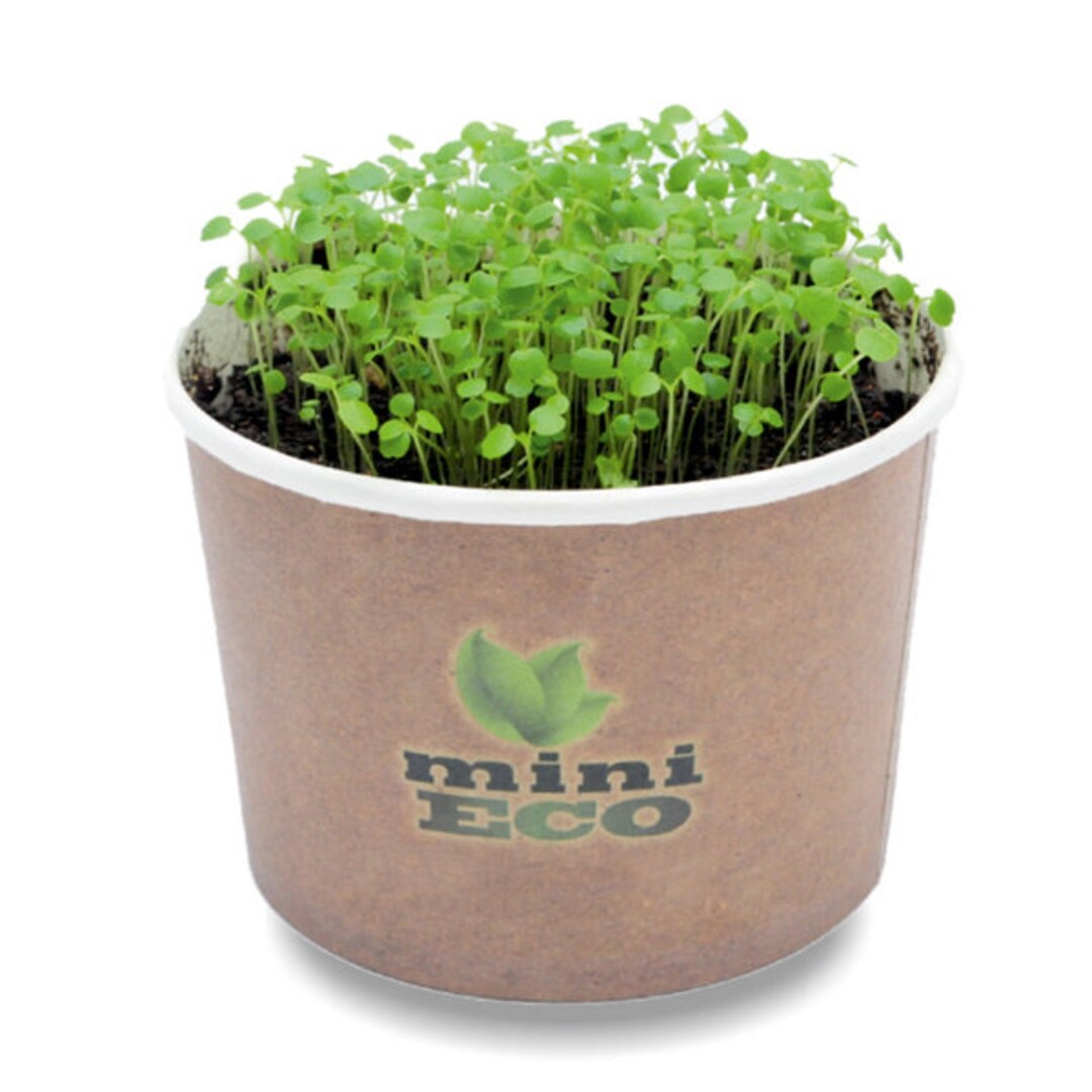 Minieco Watercress Microgreens Grow Kit. 4500 Sprouting Seeds Included ...