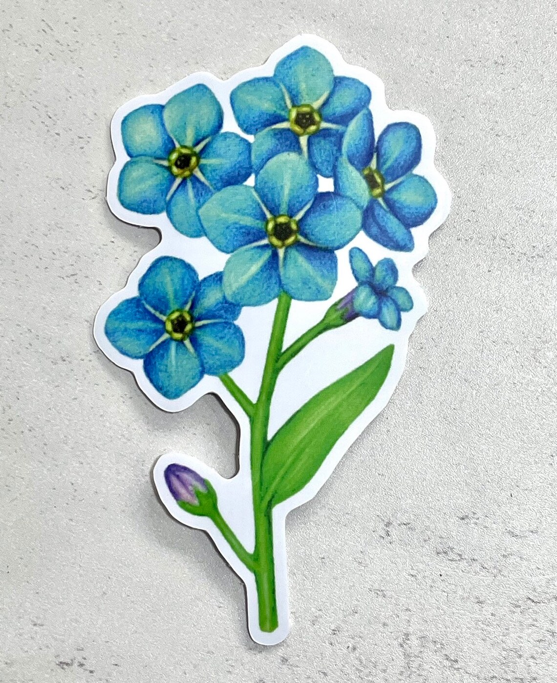 Forget Me Not flower / Fireweed Alaska Flowers / Alaska Vinyl | Etsy