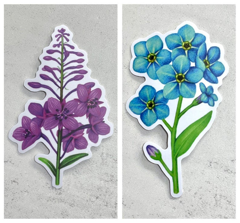 Forget Me Not Flower / Fireweed Alaska Flowers / Alaska Vinyl - Etsy