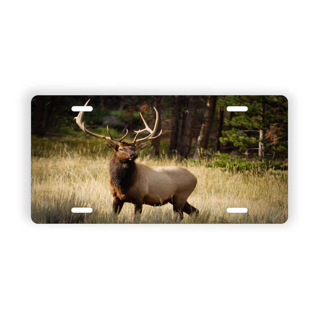 Elk Vehicle Vanity License Plate Hunting Sport - Etsy