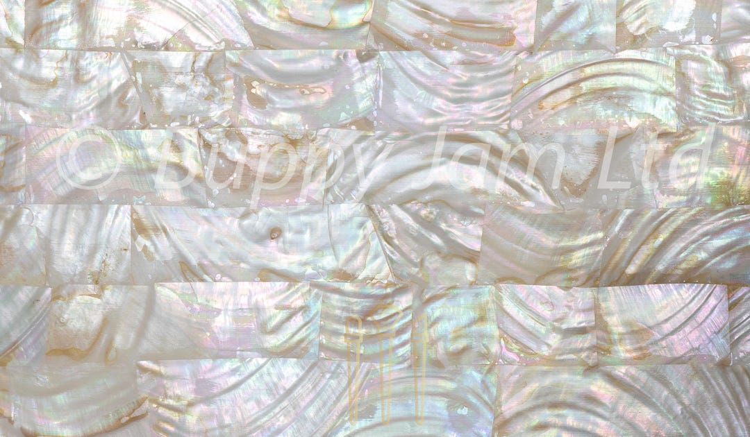 Flexible Mother of Pearl White River Shell Sheet, Jewellery Making ...