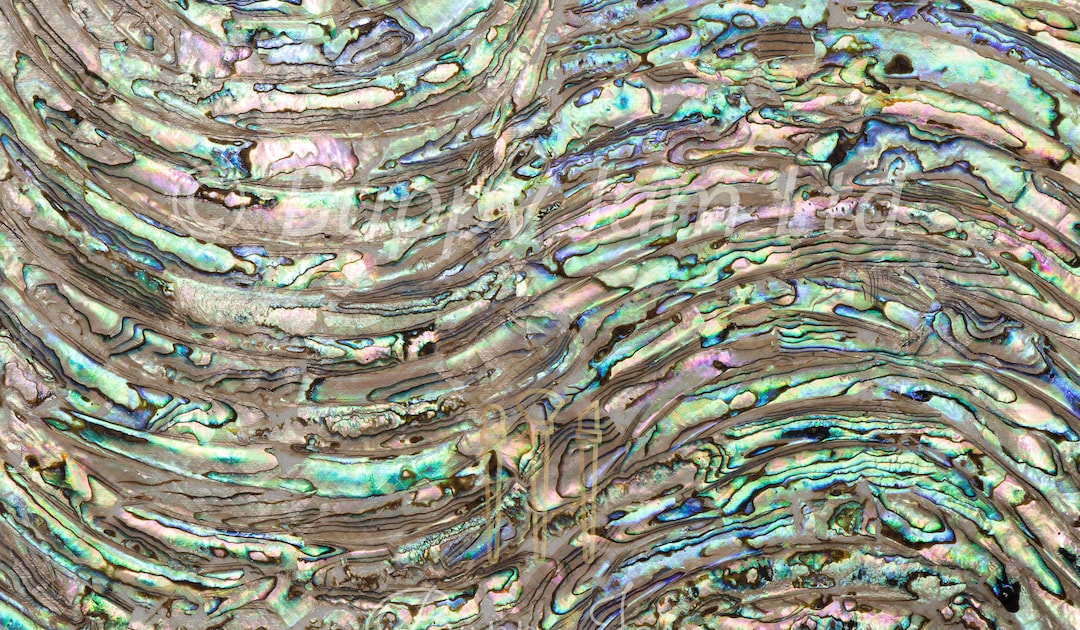 Flexible Green Brown Wave Real Abalone Sheet, Ideal for Unique ...