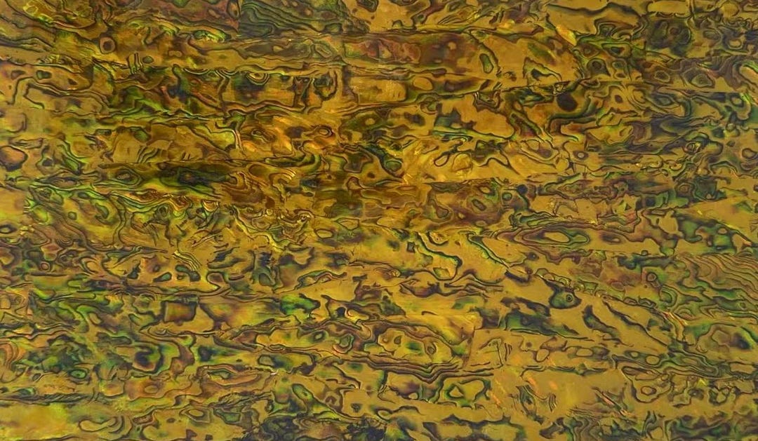 Abalone Real Shell Sheet Golden Abalone - HM075 L 240mm X W 140mm X ...