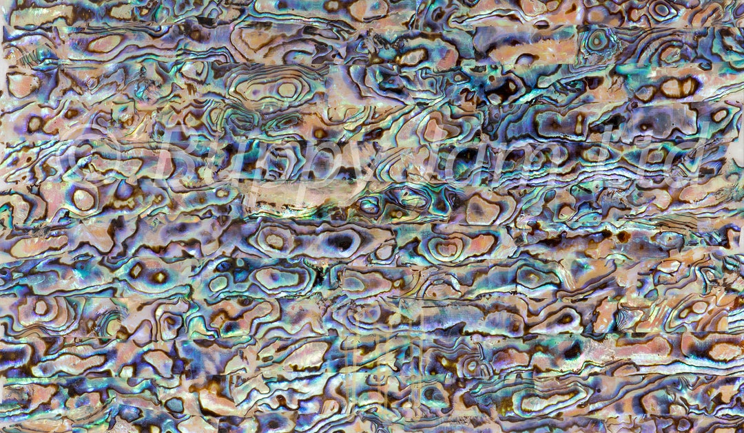 Abalone Sheet Lilac 240mm X 140mm - HM005 - Etsy
