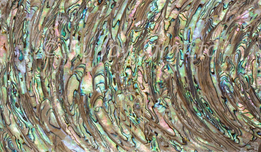 Flexible Abalone Sheet Curve L 240mm X W 140mm - HMF025 - Etsy