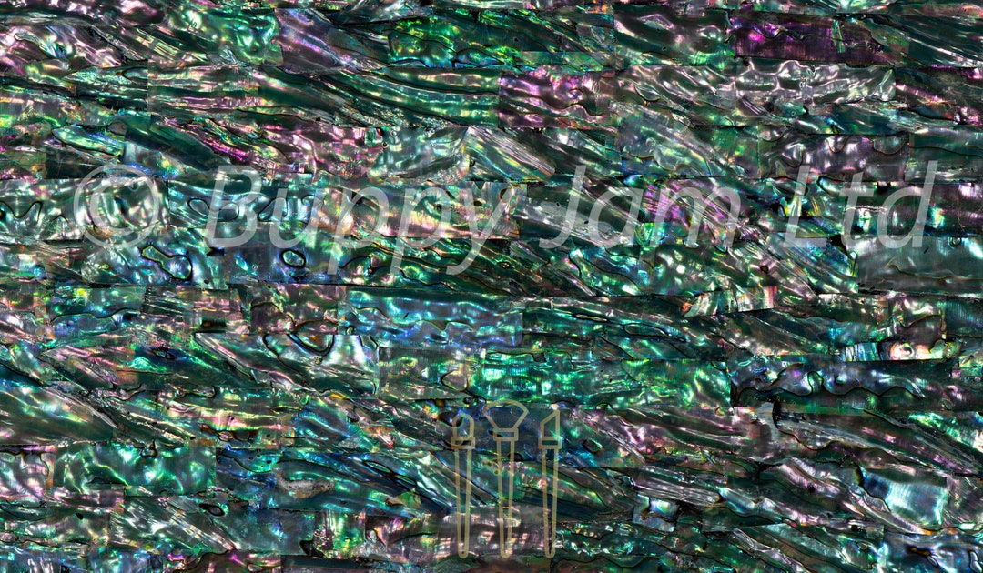 Abalone Real Shell Sheet Rainbow - HM003 L 240mm X W 140mm X Thickness ...
