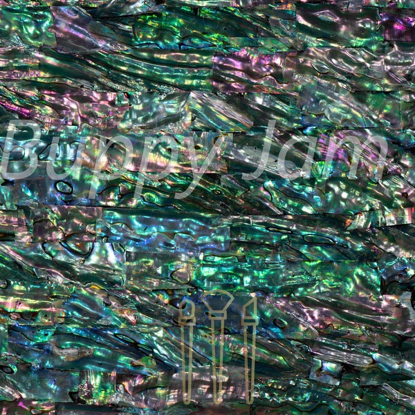 Abalone Shell - Etsy