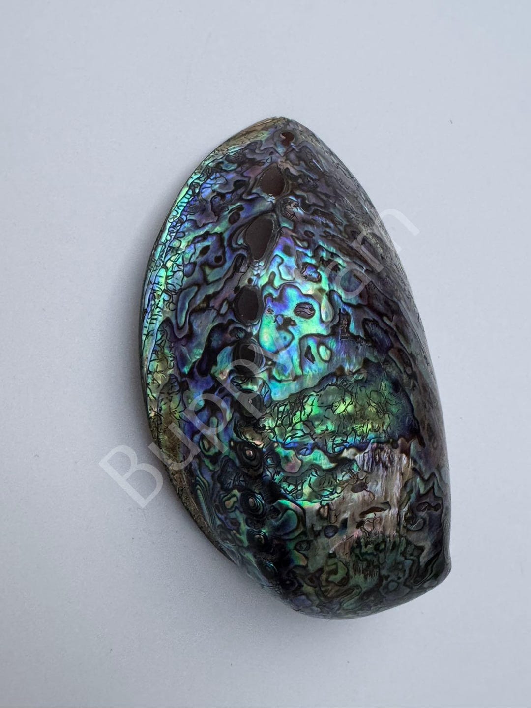Abalone Shell 100% Real and Natural Shell. - Etsy