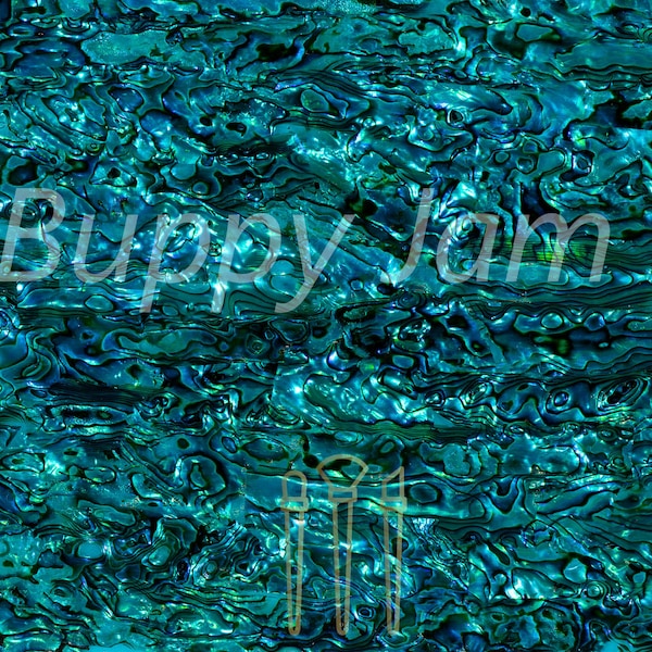 Blue Abalone Shell - Etsy