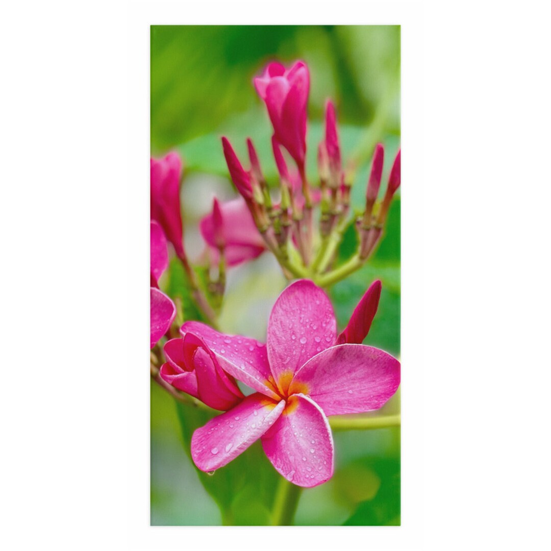 Frangipani Canvas - Etsy