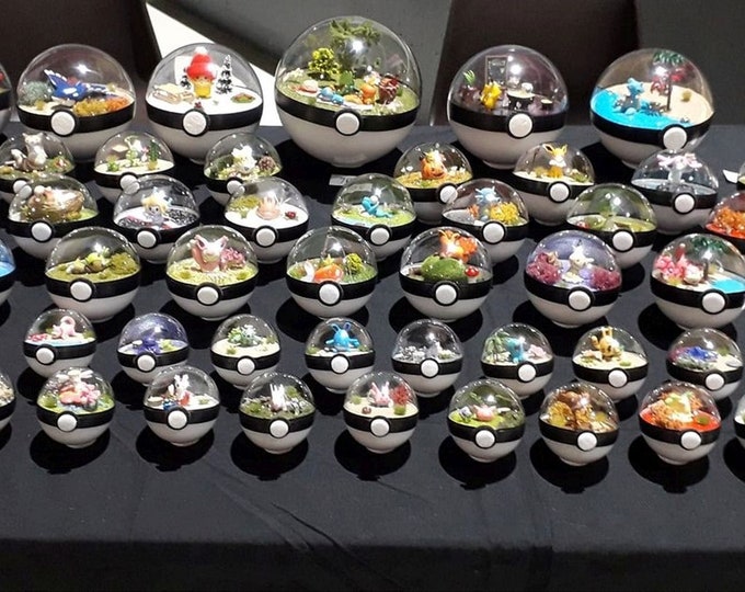 Custom Pokemon Terrarium - Choose Your Pokemon, Habitat and Pokeball ...