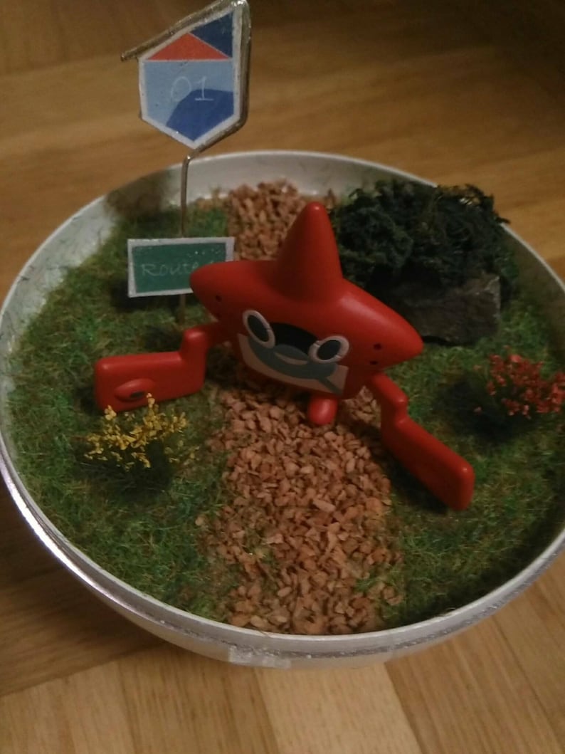Custom Pokemon Terrarium Choose Your Pokemon Habitat and | Etsy