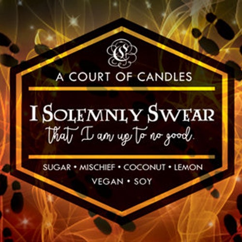 Newt's Briefcase 100% Soy Wax Candle 9oz - Etsy Canada