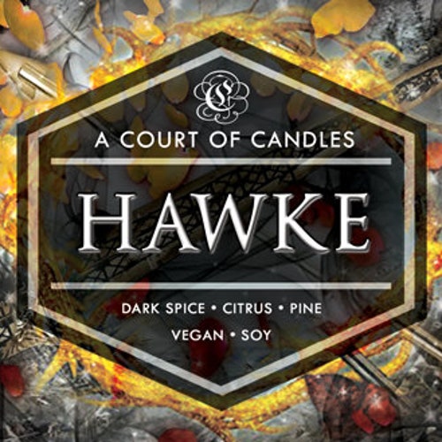 In Love With Hawke Flynn FBAA From Blood and Ash Inspired - Etsy