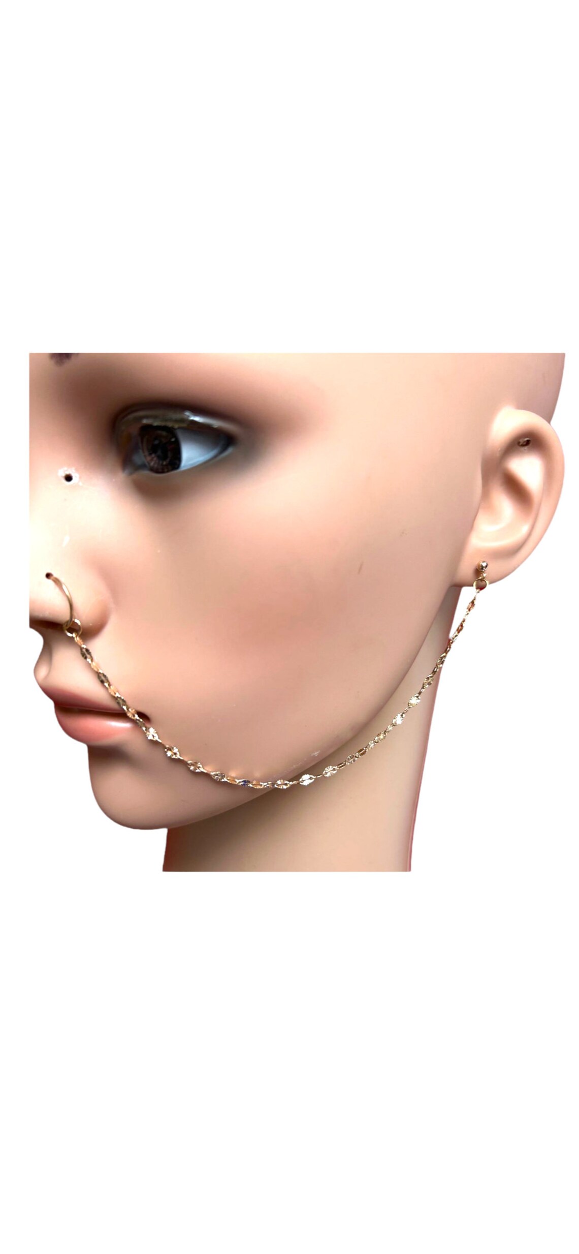 Nose Chain Nose Ring With Chainstitanium 20 Gauge Nose Ring - Etsy