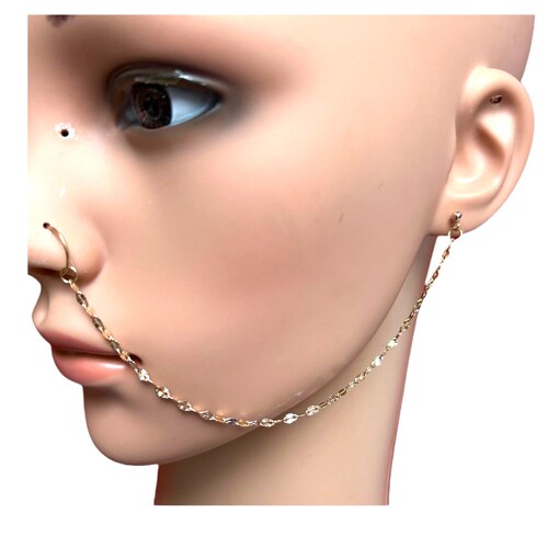 Nose Chain Nose Ring With Chainstitanium 20 Gauge Nose Ring - Etsy