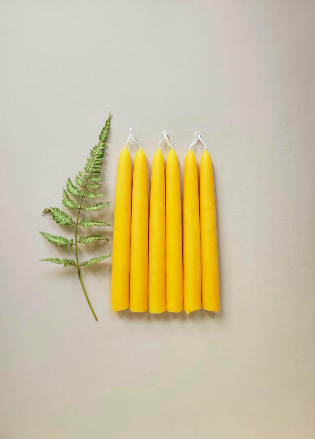 8" Hand Dipped Beeswax Taper Candles | 2-pack | 100% Local Beeswax ...