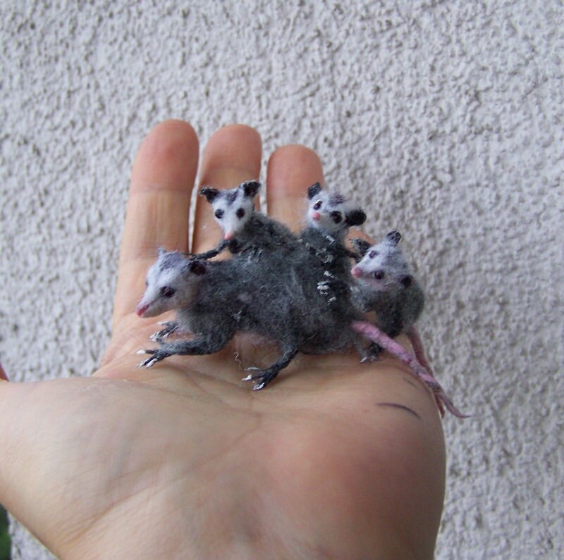 Made to Order Ooak Realistic Dollhouse Miniature Possums Mom - Etsy