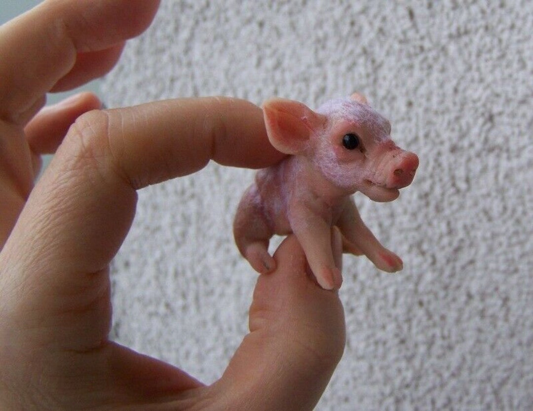 MADE TO ORDER Dollhouse Miniature Baby Pig Piglet by Malga - Etsy