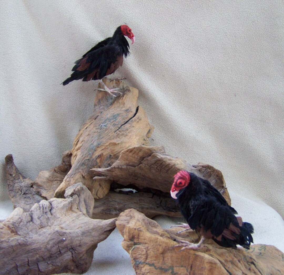MADE to Order Ooak Dollhouse Miniature ONE Turkey Vulture Halloween by ...