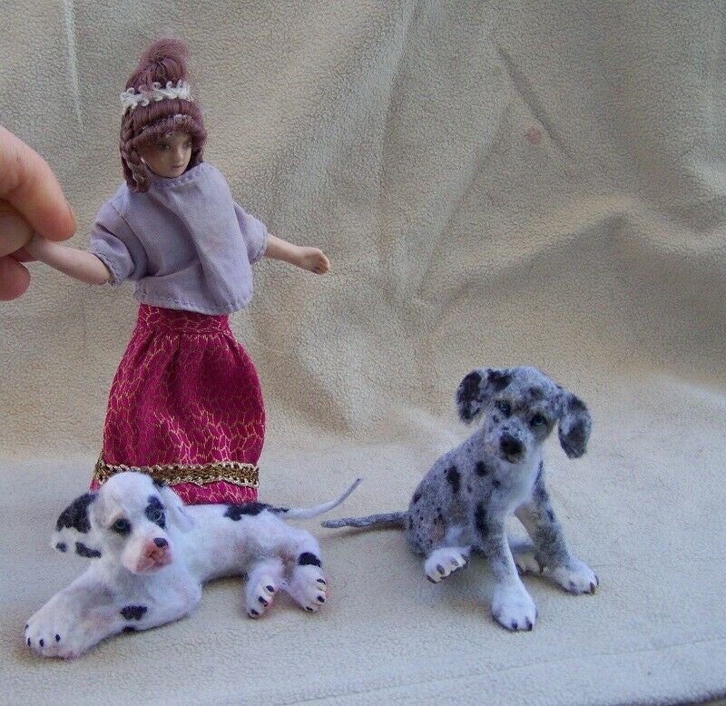 Made to Order Ooak Miniature Dollhouse Dogs Great Dane Puppies by Malga ...