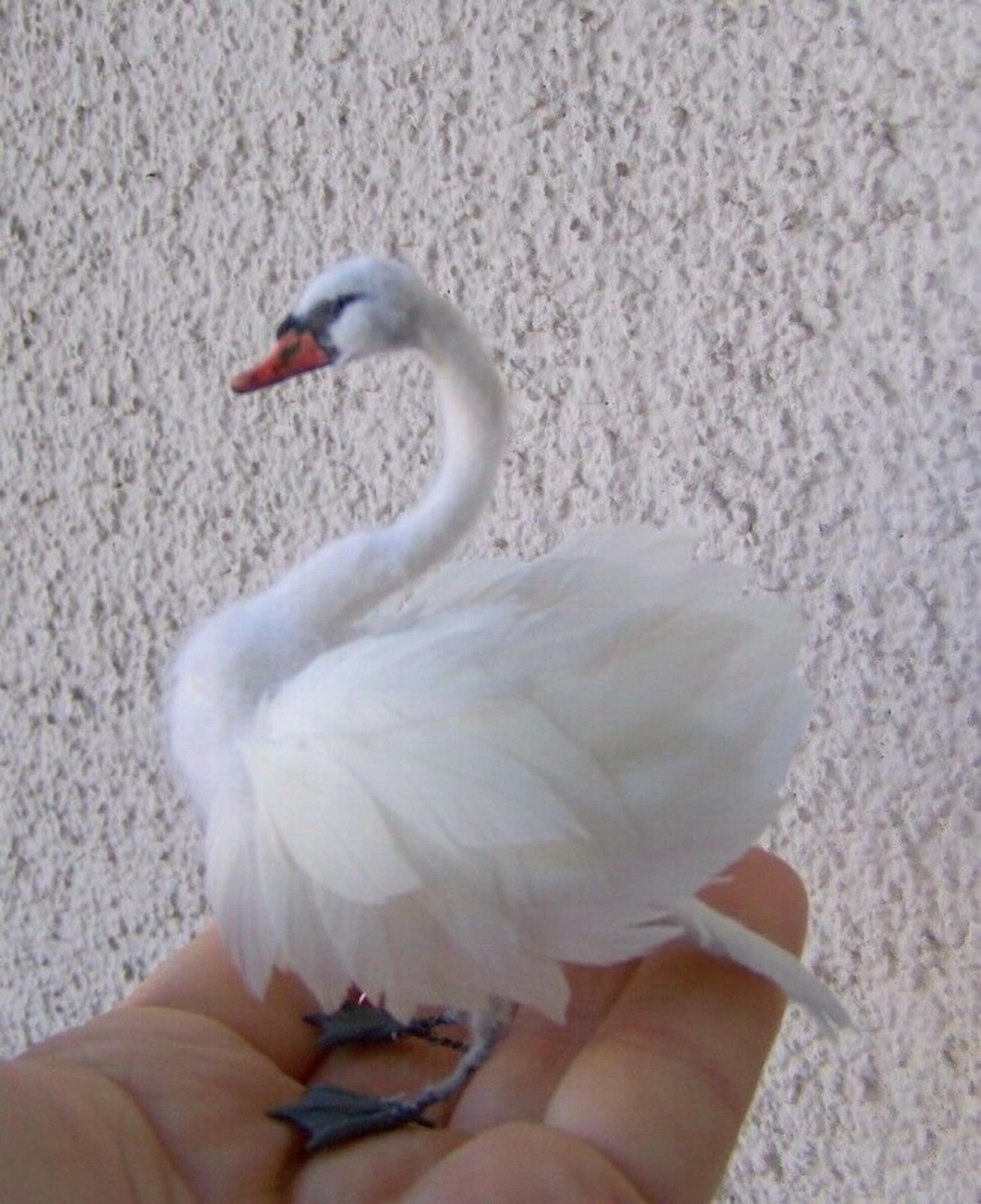 MADE TO ORDER Miniature Dollhouse White Folded-wing Swan by - Etsy
