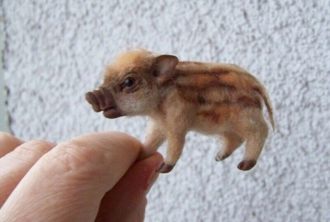 MADE to Order Ooak Dollhouse Miniature ONE Wild Boar Baby Piglet Pig by ...