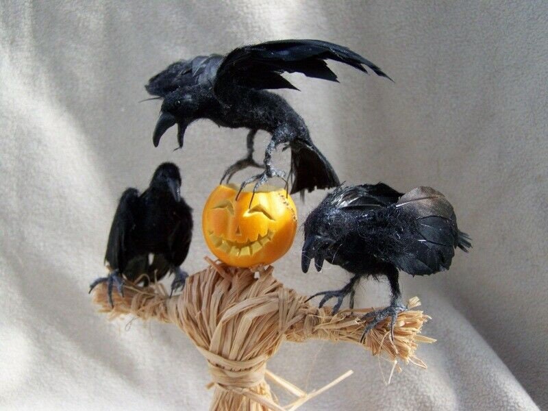MADE TO ORDER Dollhouse Miniature Ravens & Scarecrow Birds | Etsy