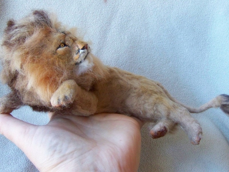Miniature Lion Cat