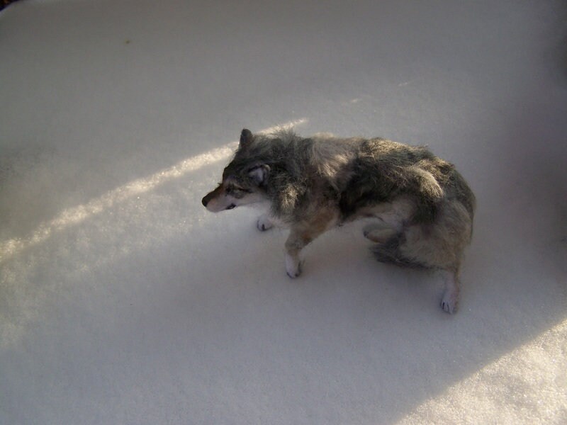 Made to Order Ooak Dollhouse Miniature Grey Wolf Walking by - Etsy