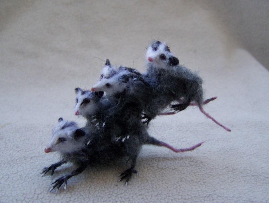 Made to Order Ooak Realistic Dollhouse Miniature Possums Mom With 3 ...